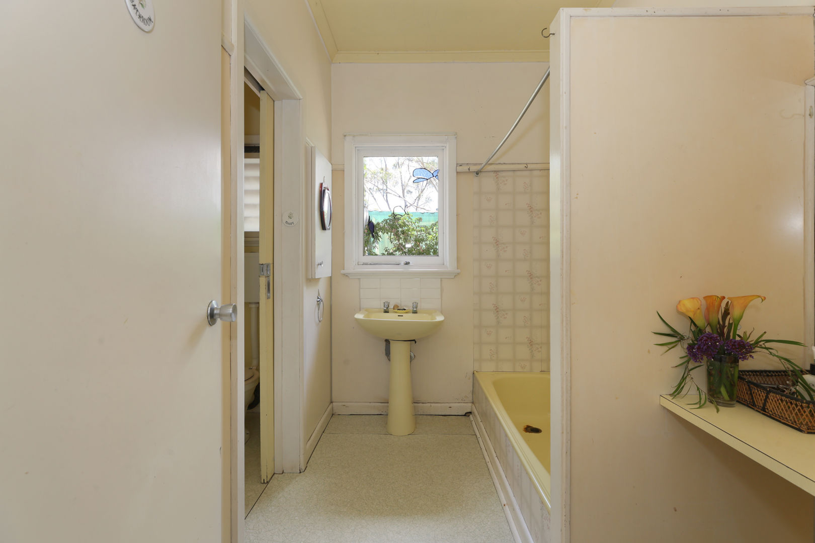 5609 Princes Highway Boorcan VIC 3265