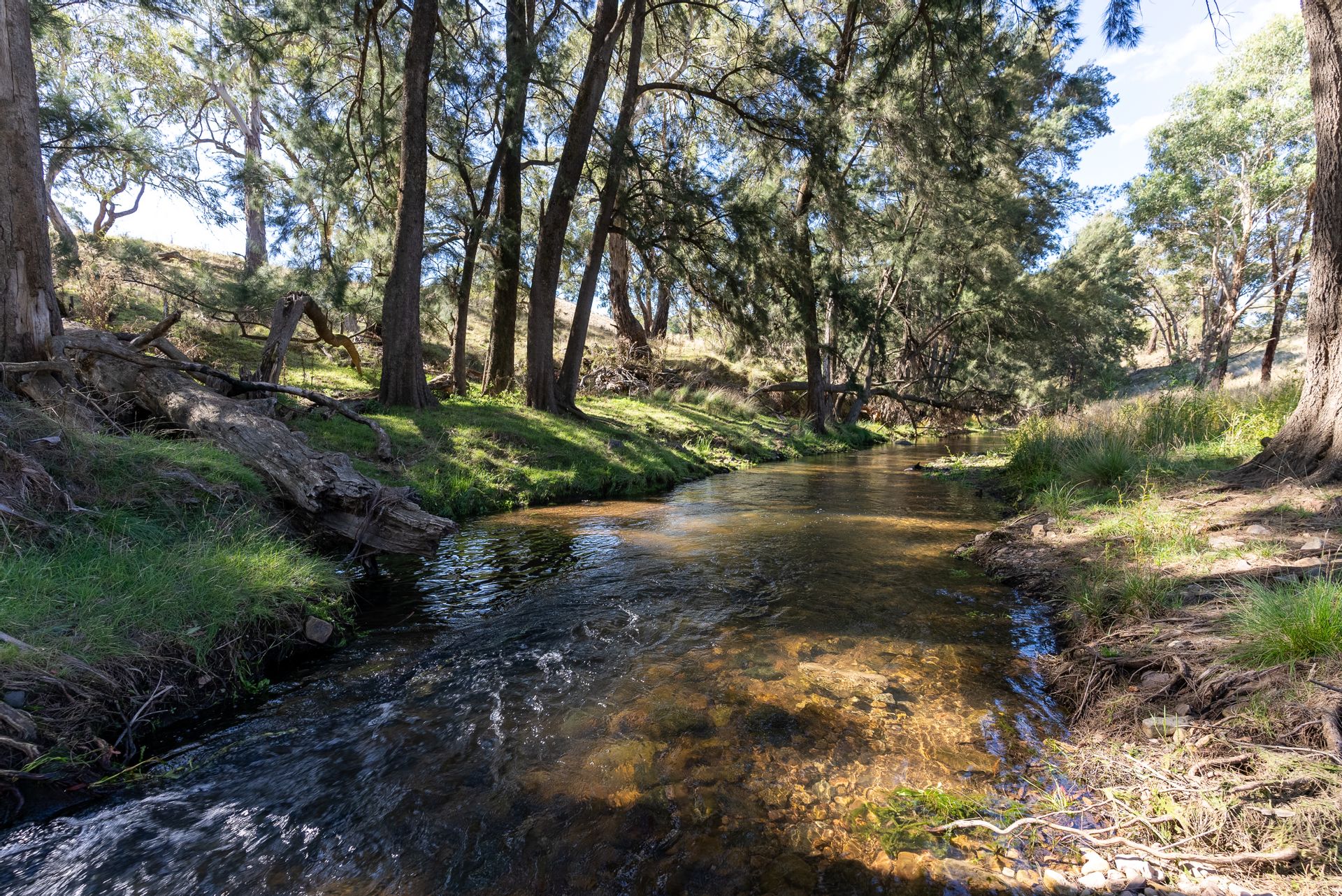 80 Palmers Oakey Road Palmers Oaky NSW 2795 - farmproperty.com.au