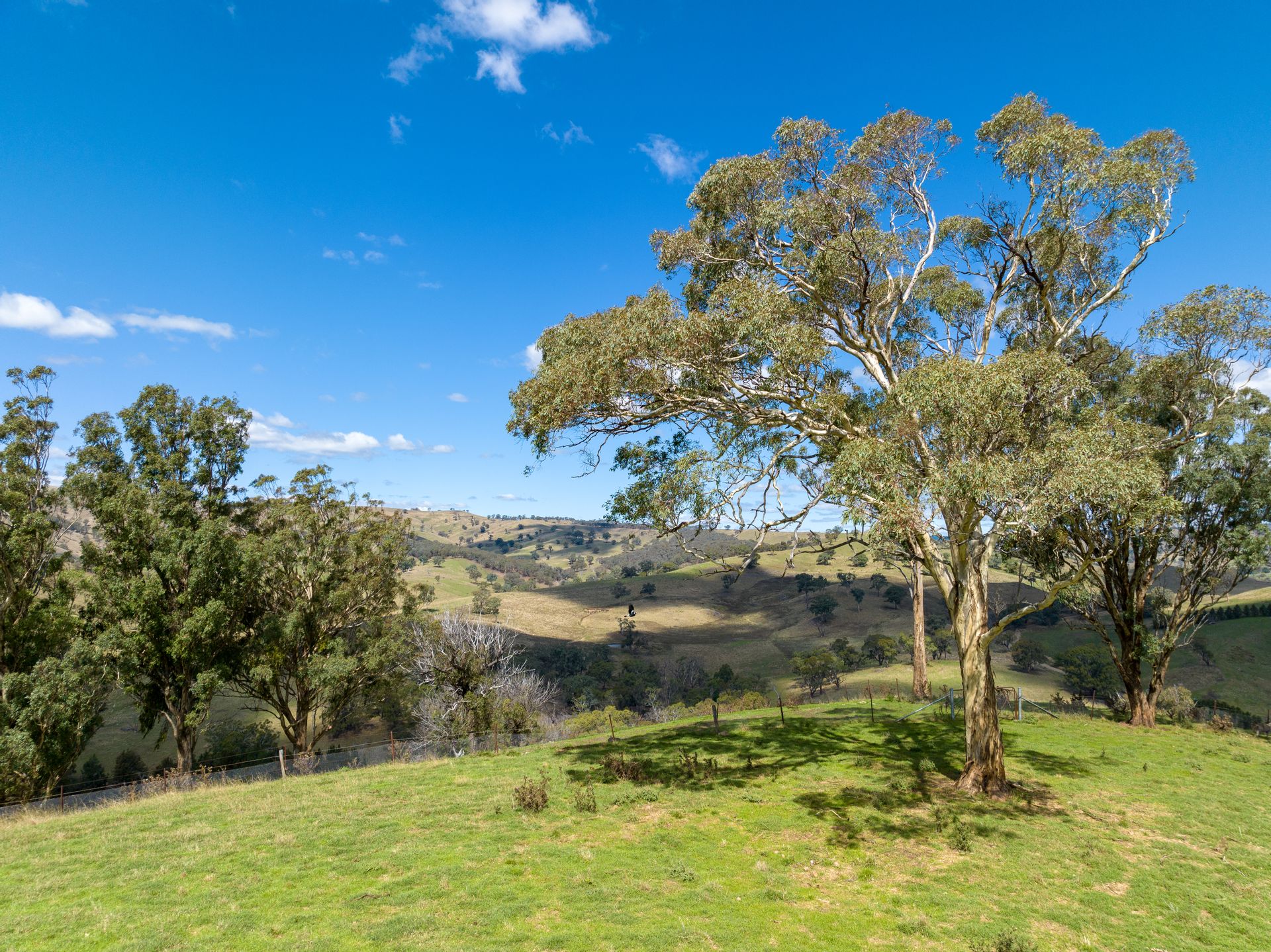80 Palmers Oakey Road Palmers Oaky NSW 2795 - farmproperty.com.au